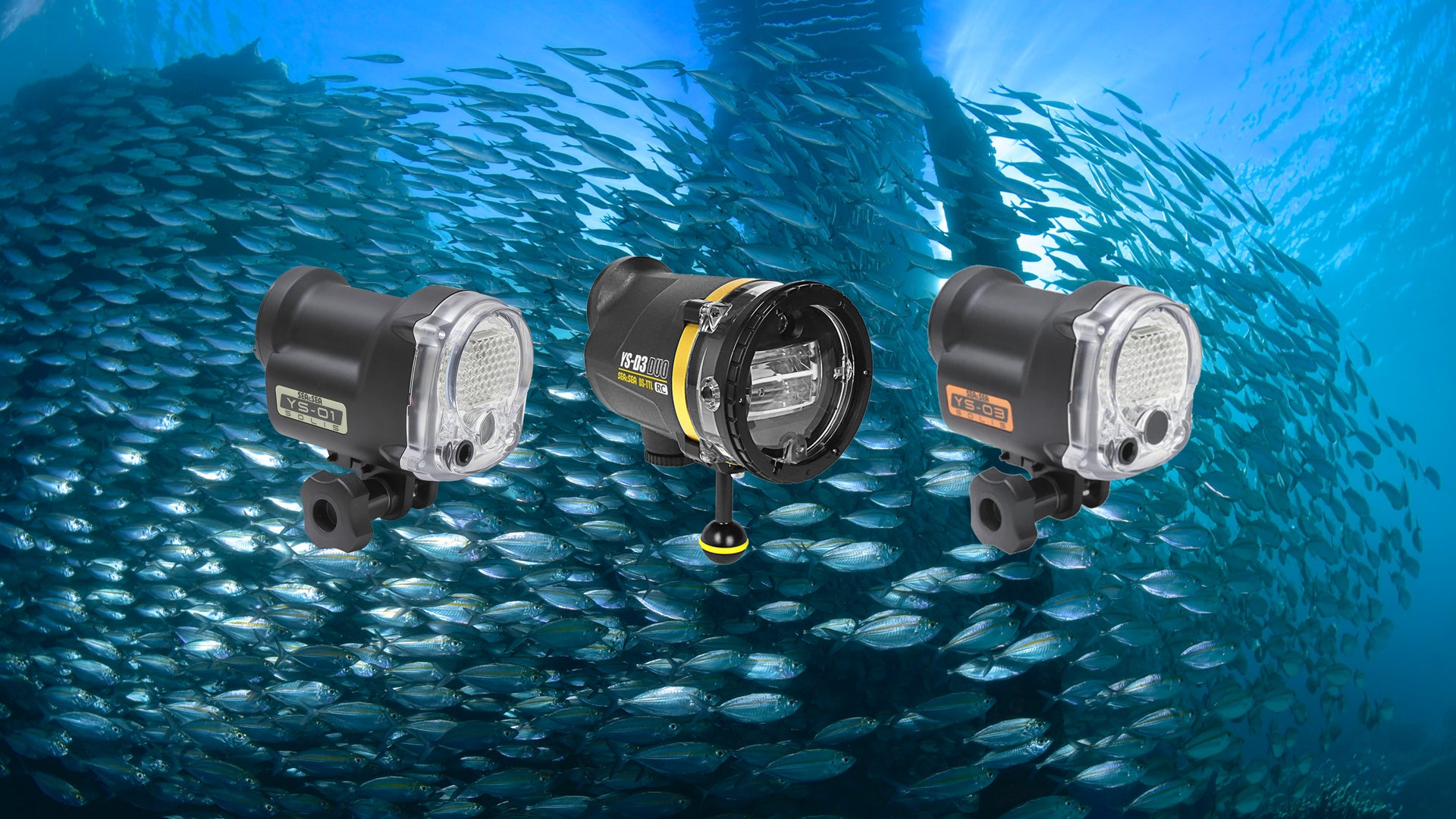 Sea Tech - New Zealand sellers of underwater camera equipment – Sea ...