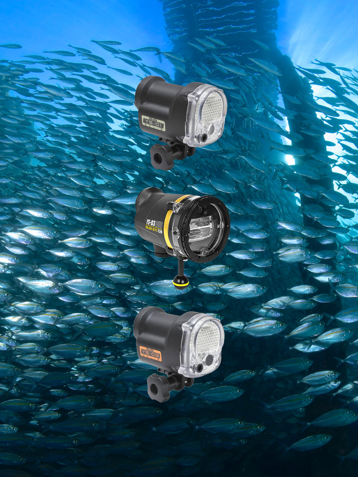 Sea Tech - New Zealand sellers of underwater camera equipment – Sea ...