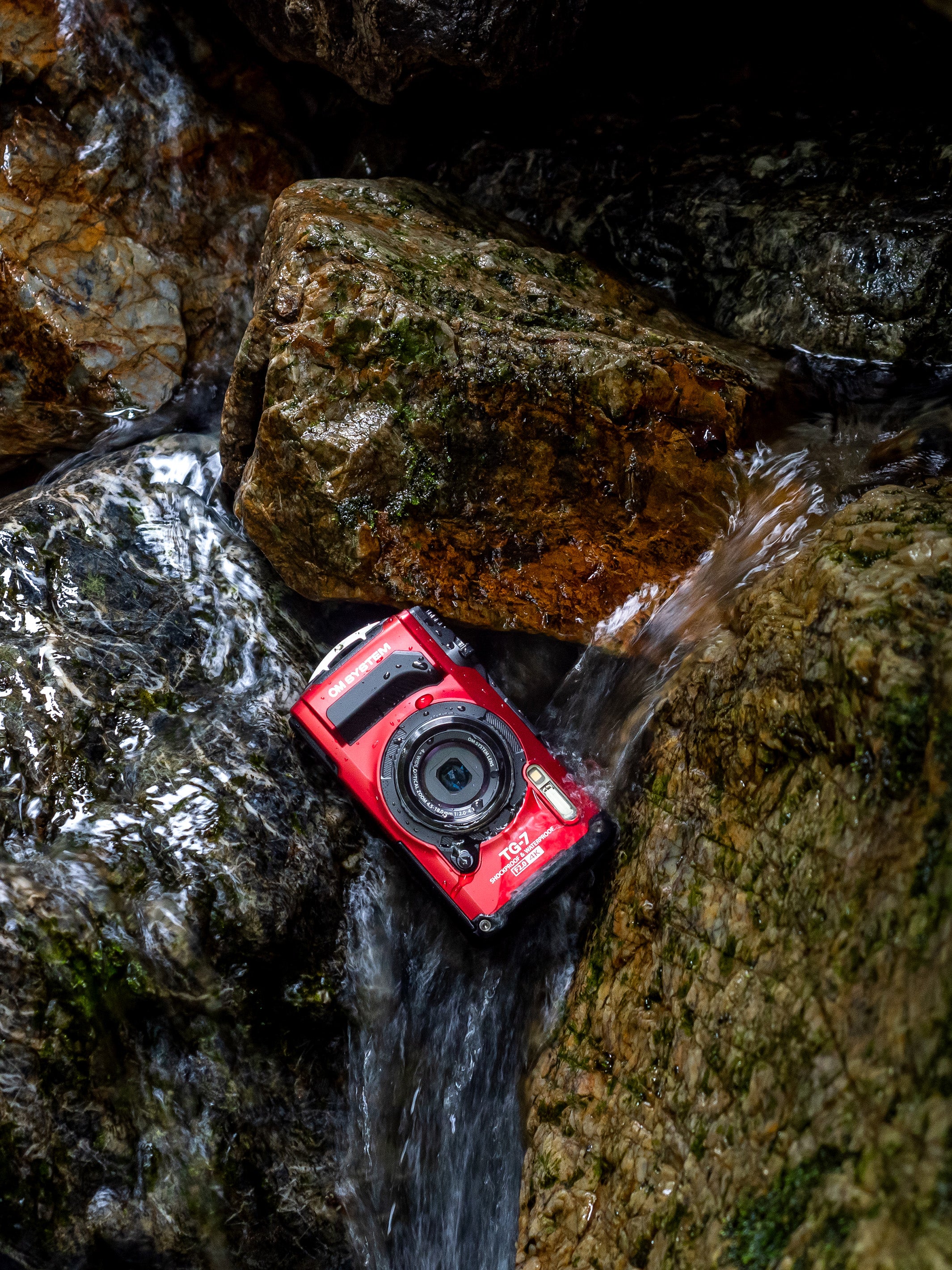 Sea Tech - New Zealand sellers of underwater camera equipment – Sea ...