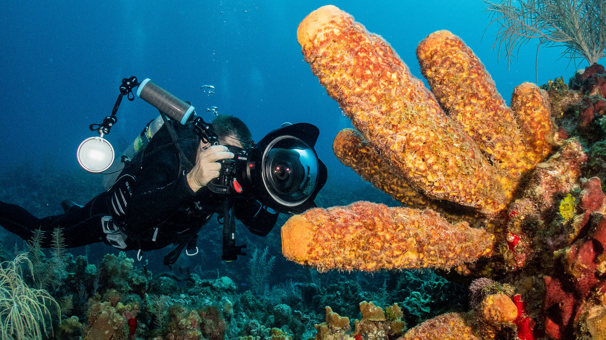 Sea Tech - New Zealand sellers of underwater camera equipment – Sea ...